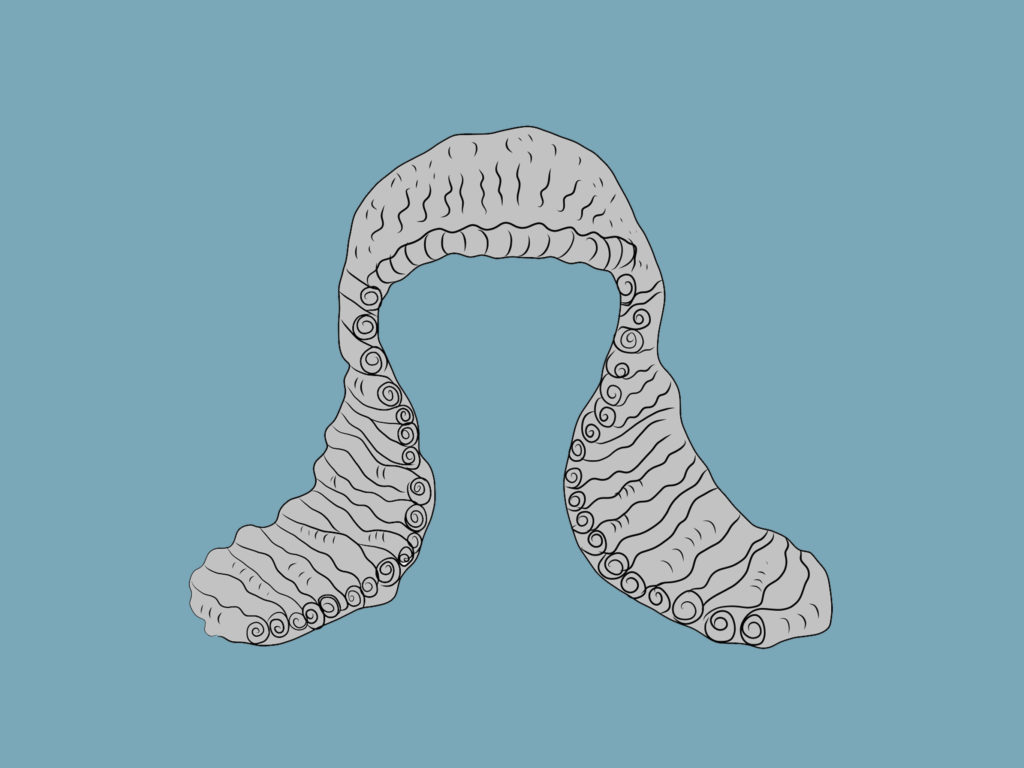 Earl Pratt and Ivan Morgan | The Death Penalty Project