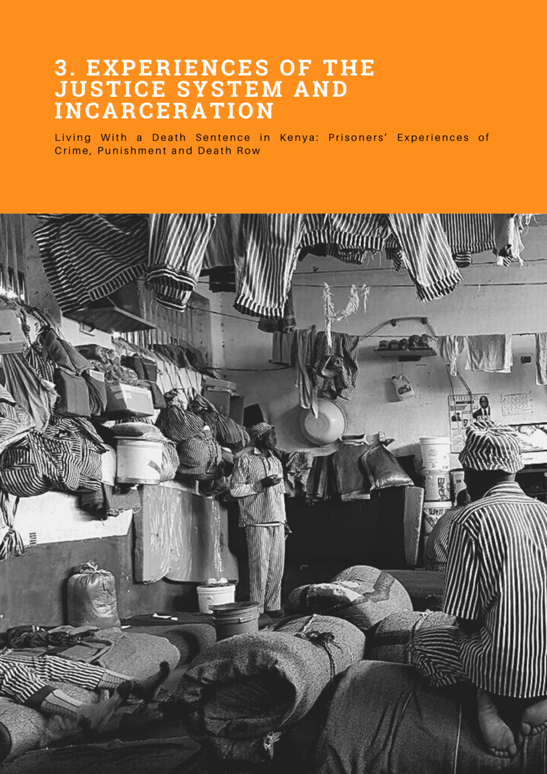 Experiences of the Justice System and Incarceration | The Death Penalty ...